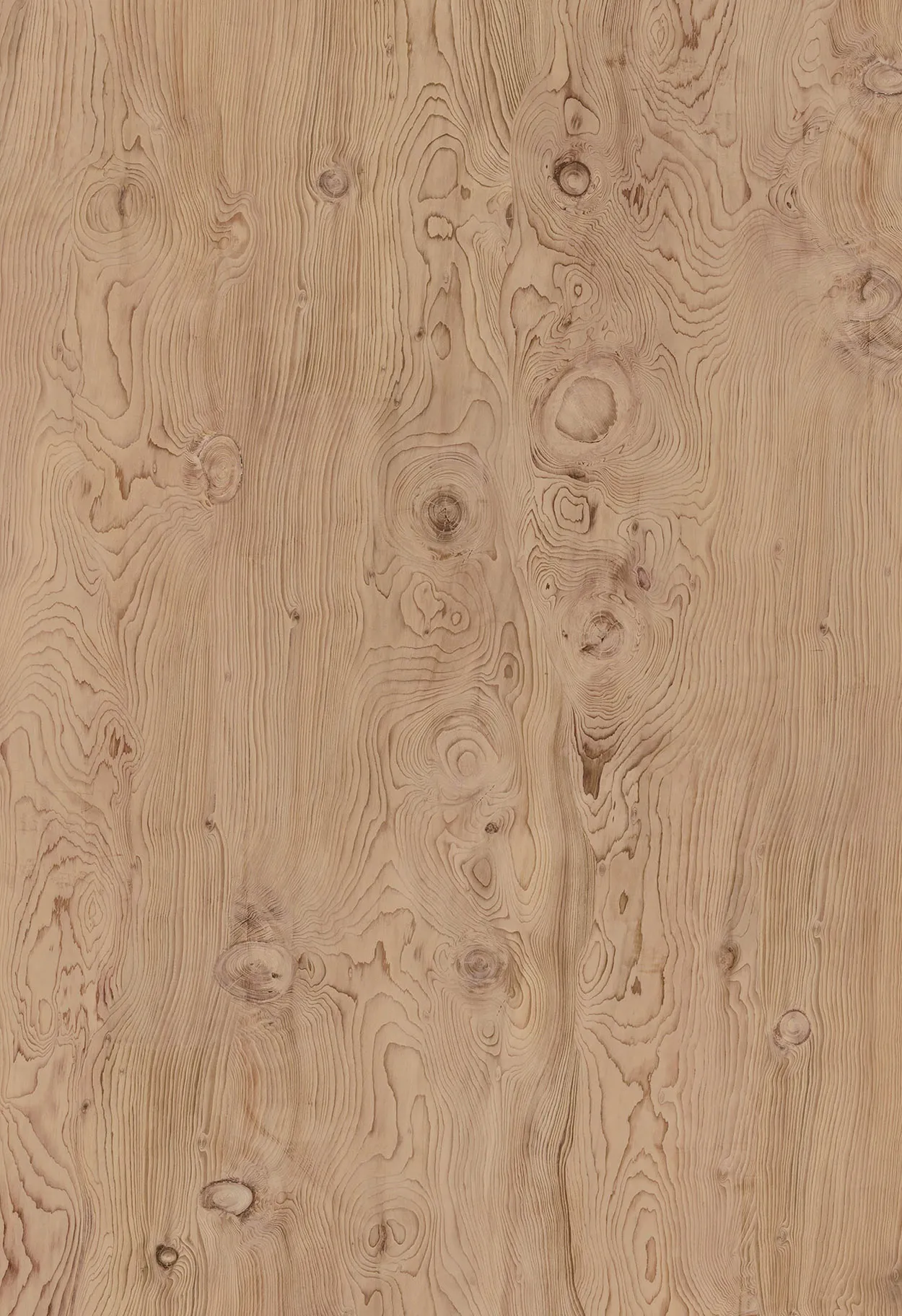 La Bohème - GMC - Surface